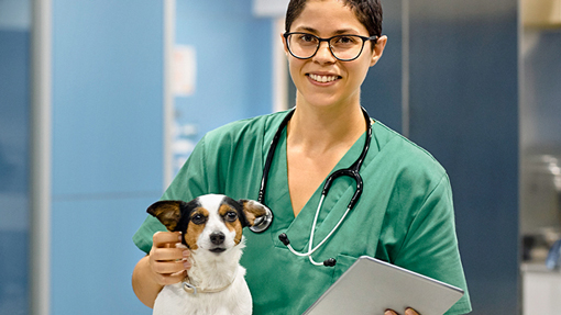 Animal Health Technology (145.A0) - Inforoute FPT