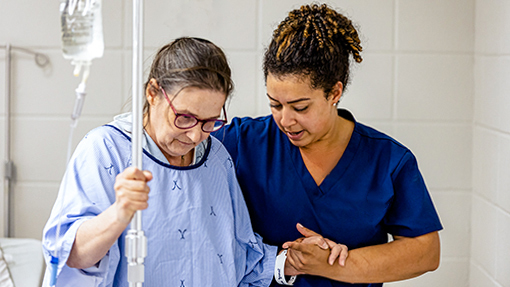 Support for Assistive Services in Health and Social Services ...